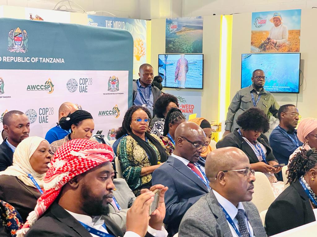 COP28: Update of Tanzania Pavilion - Tanzania National Carbon ...