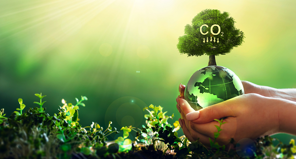 Spinnaker capital invests strategically in carbon finance firm respira ...