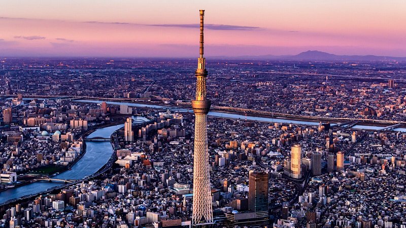 Skytree launches stratus hub for enhanced CO2 removal - Tanzania ...